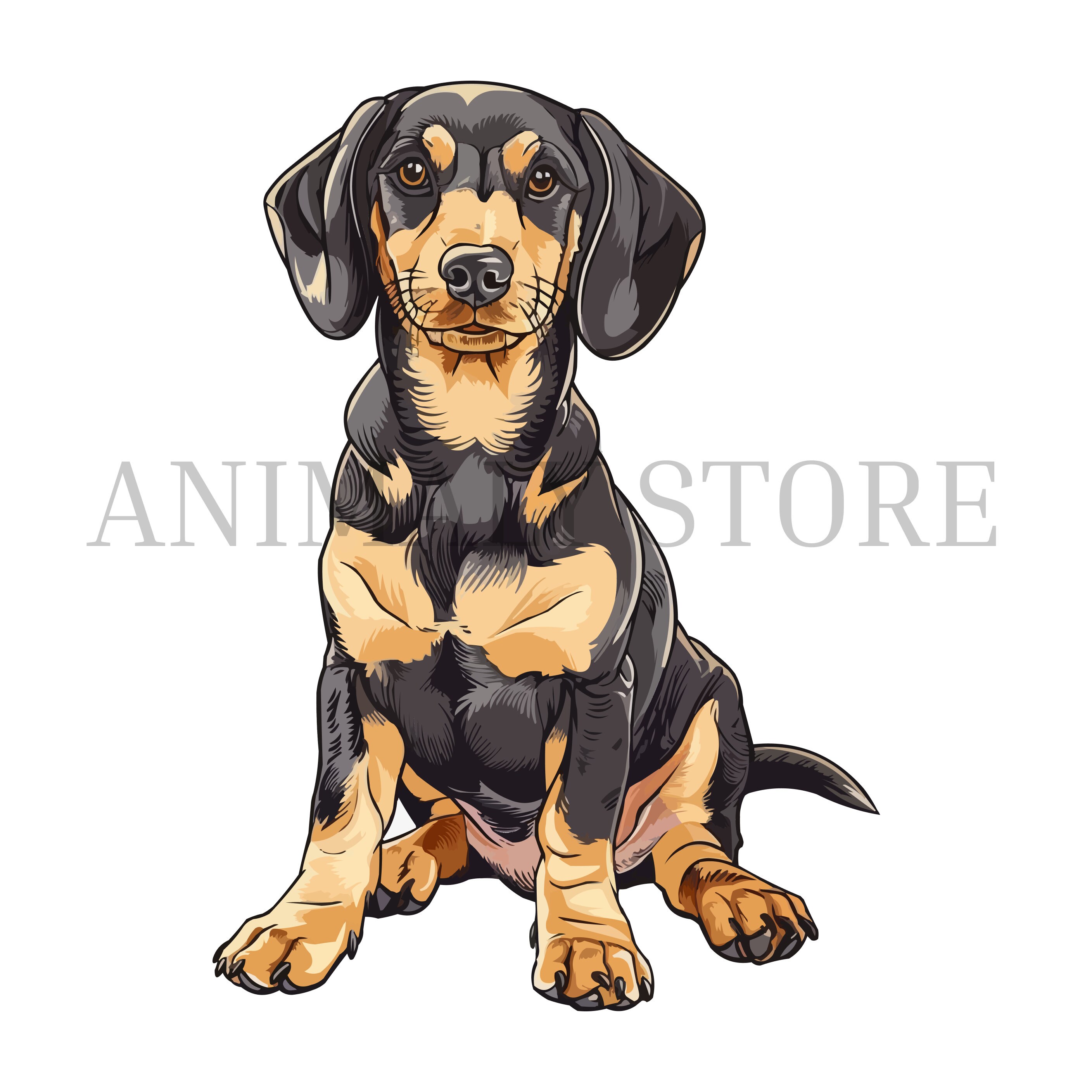 Dachshund SVG Png Bundle, Wiener Dog SVG Sitting Dachshund Clipart ...