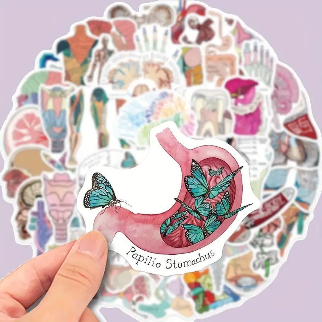 Random Science Anatomy Stickers Pack Medical Study Decals Artistic ...