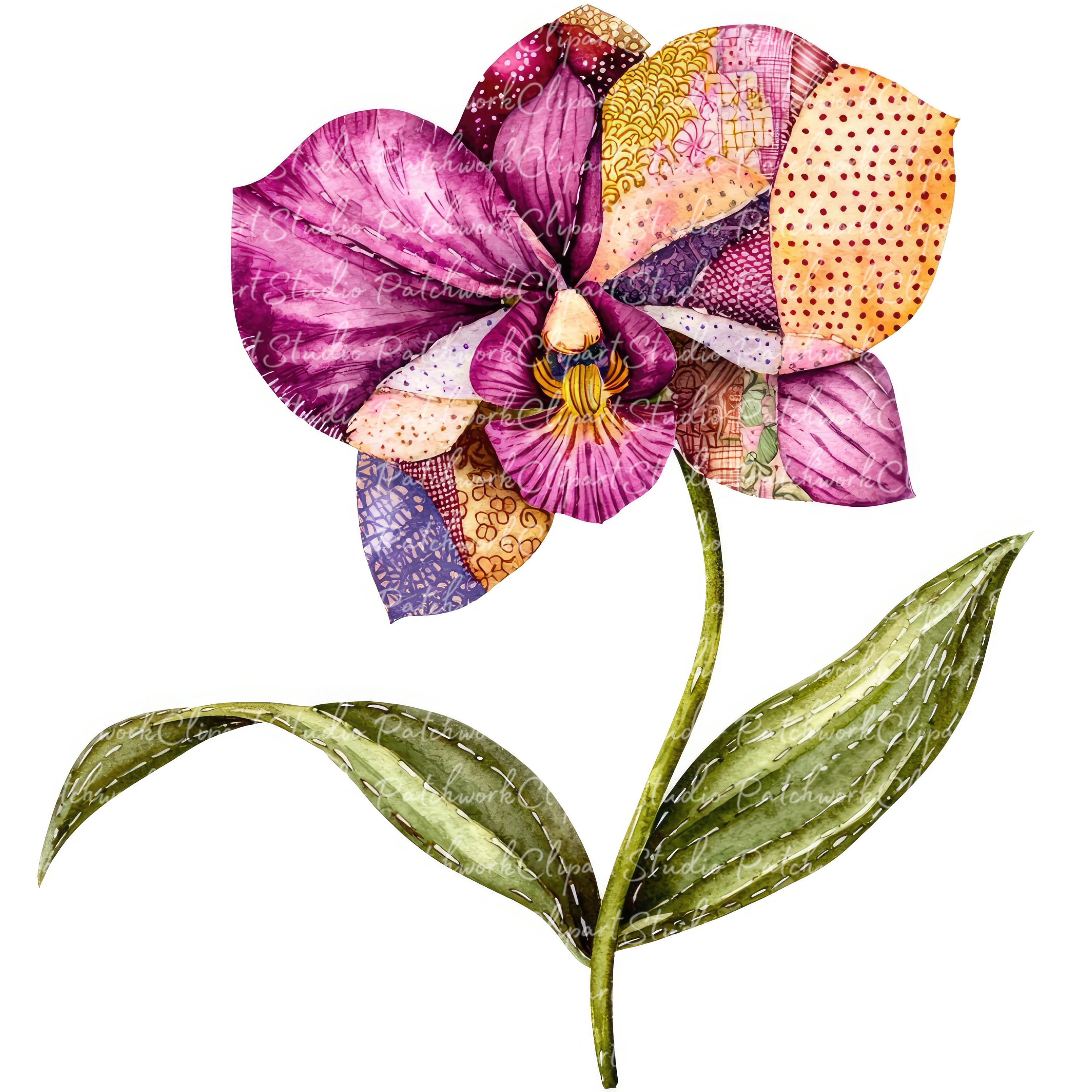 10 Orchid Clipart Bundle, PNG & JPG, Printable Patchwork, Illustrations, Digital Download ...