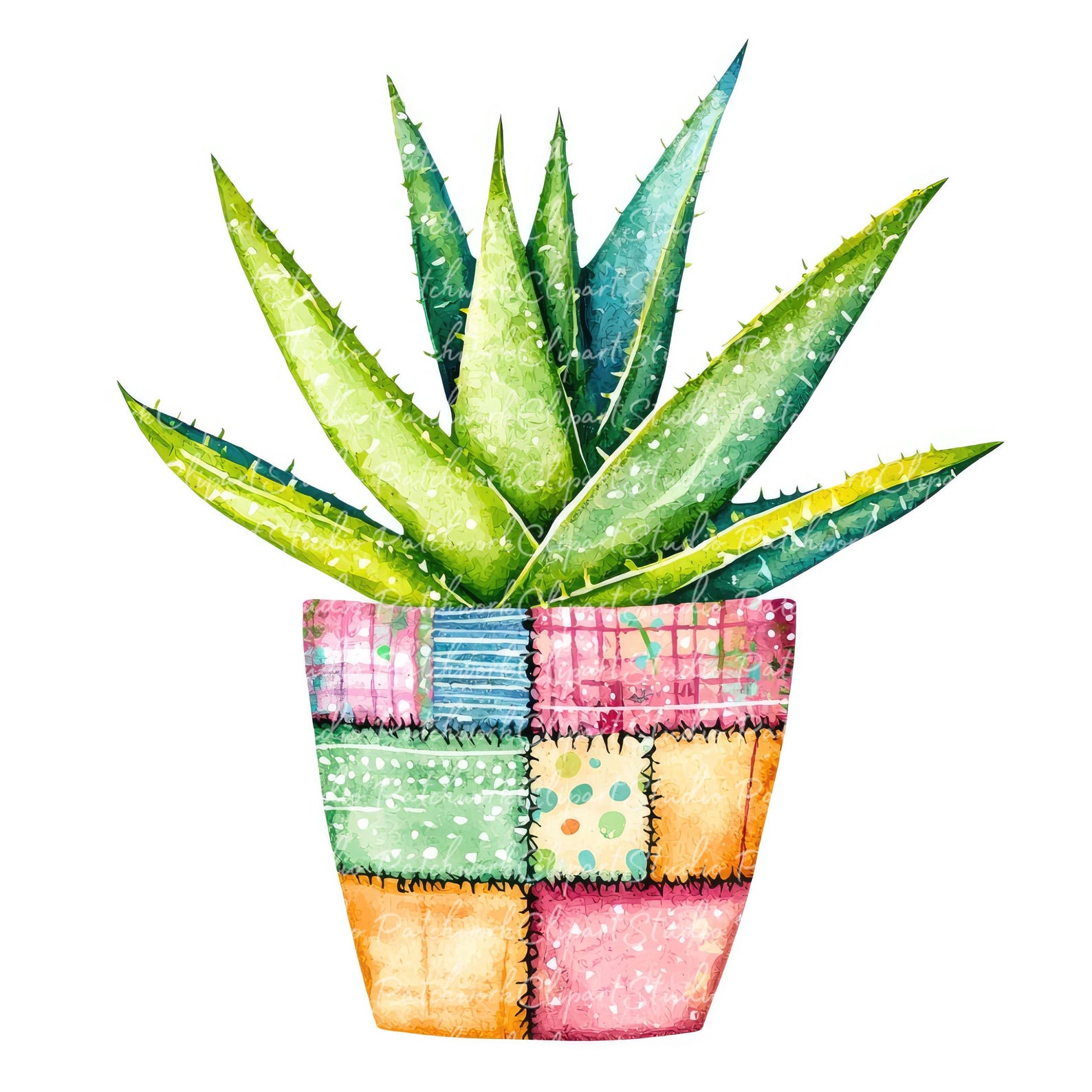 10 Aloe Vera Clipart Bundle, PNG & JPG, Printable Patchwork, Medicinal Plant Illustration ...