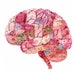10 Brains Clipart Bundle, PNG & JPG, Printable Patchwork Brain ...