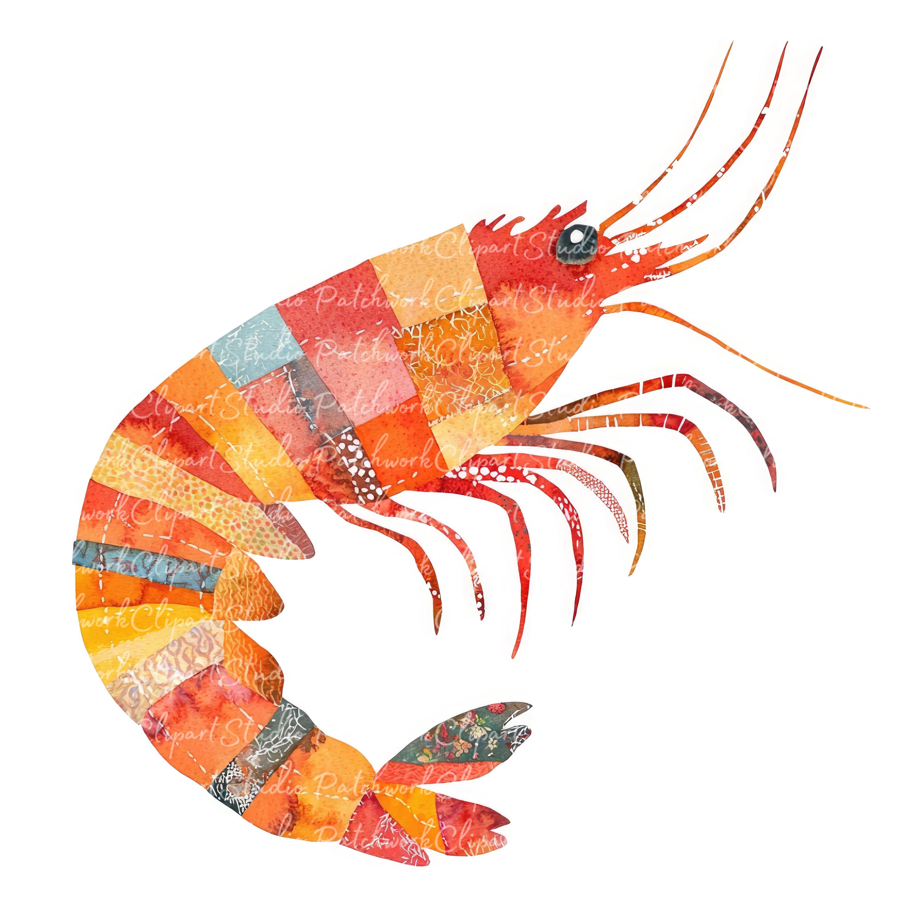 10 Shrimp Clipart Bundle, PNG & JPG, Printable Patchwork Shrimp ...