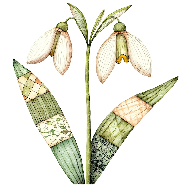 10 Snowdrop Flowers Clipart Bundle, PNG & JPG, Printable Patchwork, Illustrations, Digital ...