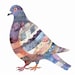 10 Pigeons Clipart Bundle, PNG & JPG, Printable Patchwork Pigeon ...
