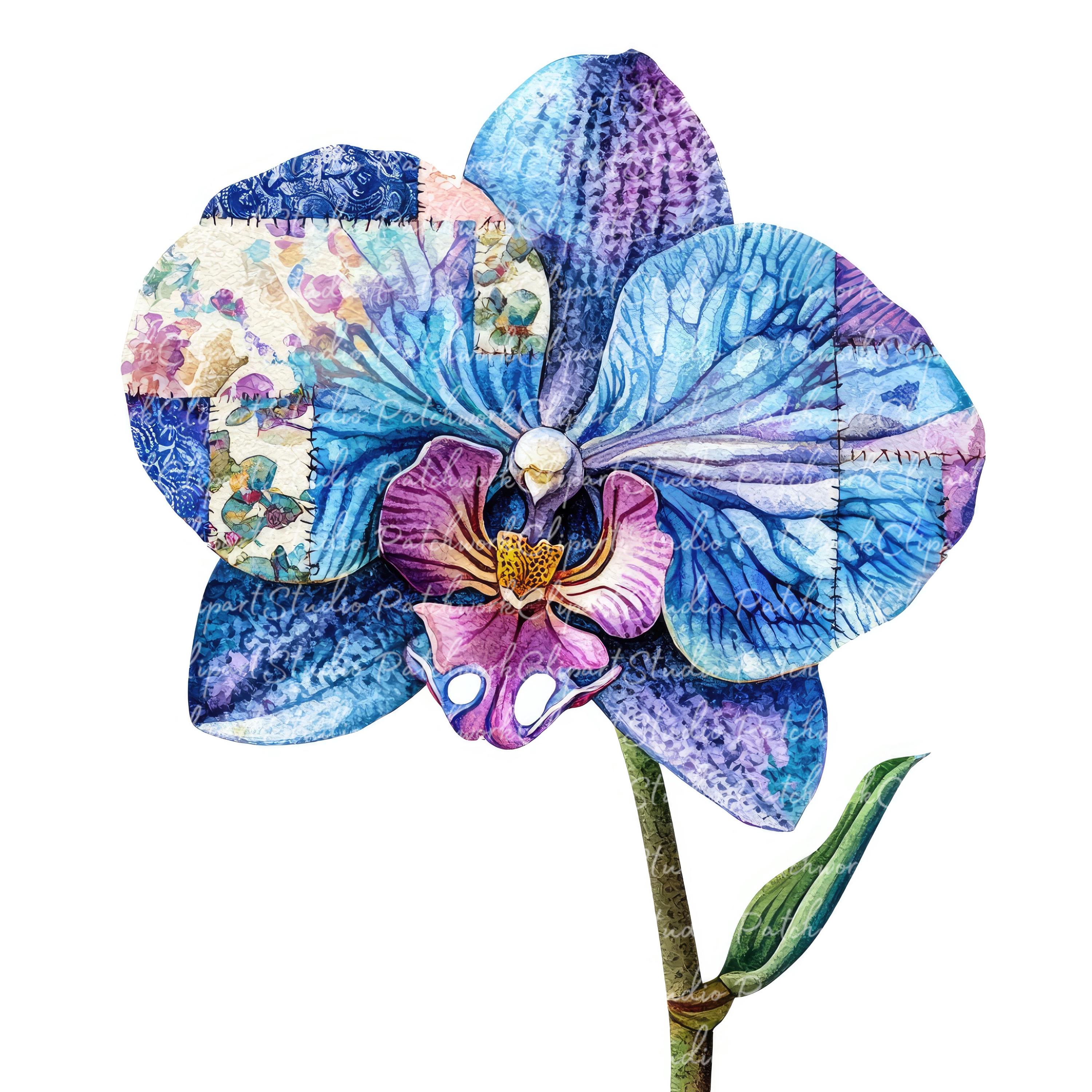 10 Orchid Clipart Bundle, PNG & JPG, Printable Patchwork, Illustrations, Digital Download ...