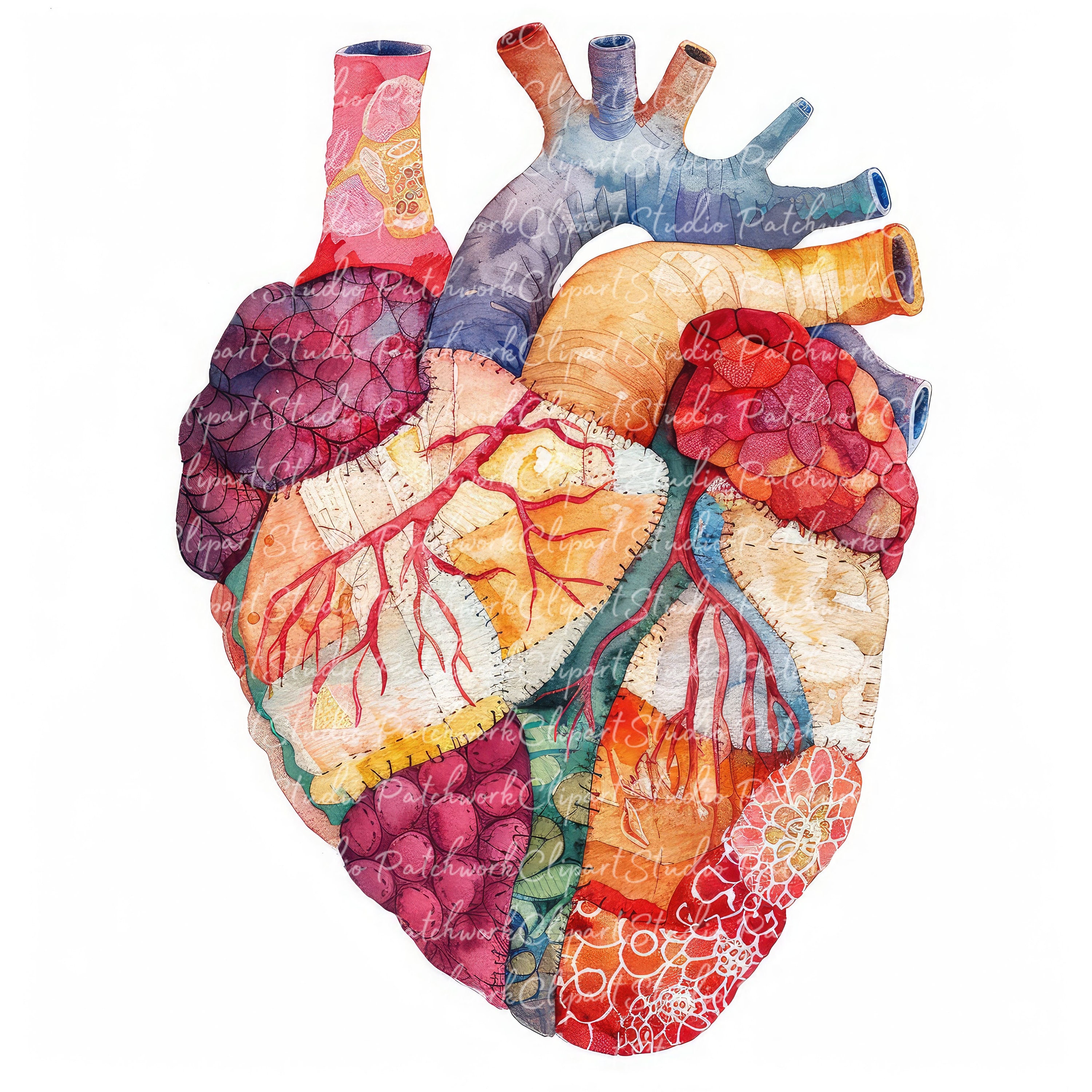 10 Human Heart Clipart Bundle, PNG & JPG, Printable Patchwork Anatomy ...