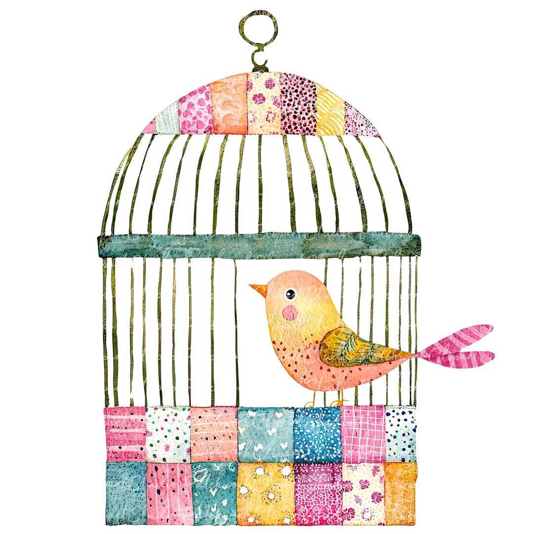 10 Birdcage Clipart Bundle, PNG & JPG, Printable Patchwork Birds Illustrations, Digital Download ...
