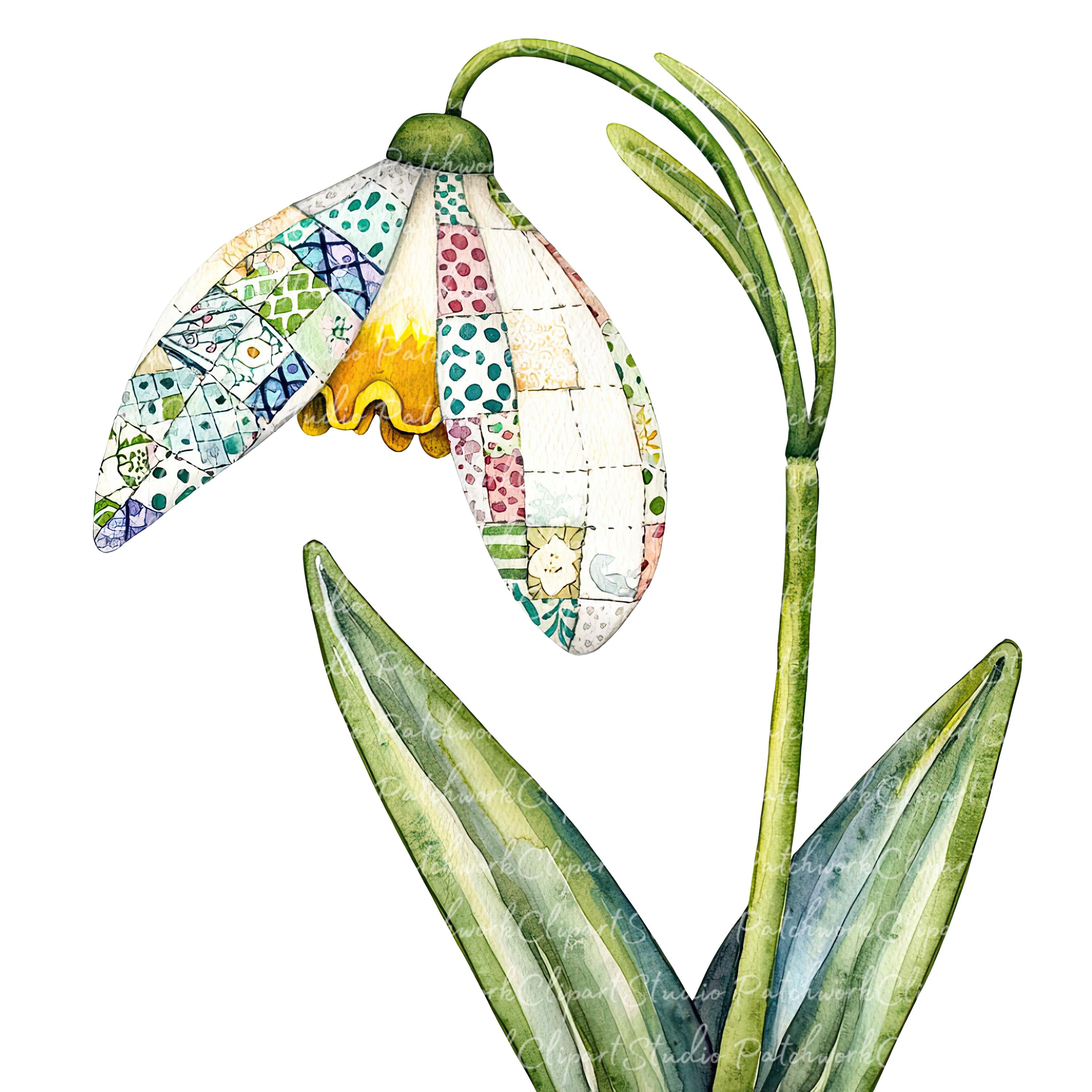 10 Snowdrop Flowers Clipart Bundle, PNG & JPG, Printable Patchwork, Illustrations, Digital ...