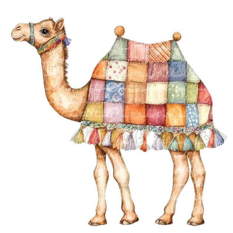 10 Camel Clipart Bundle, PNG & JPG, Printable Patchwork, Illustrations ...