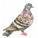 10 Pigeons Clipart Bundle, PNG & JPG, Printable Patchwork Pigeon ...