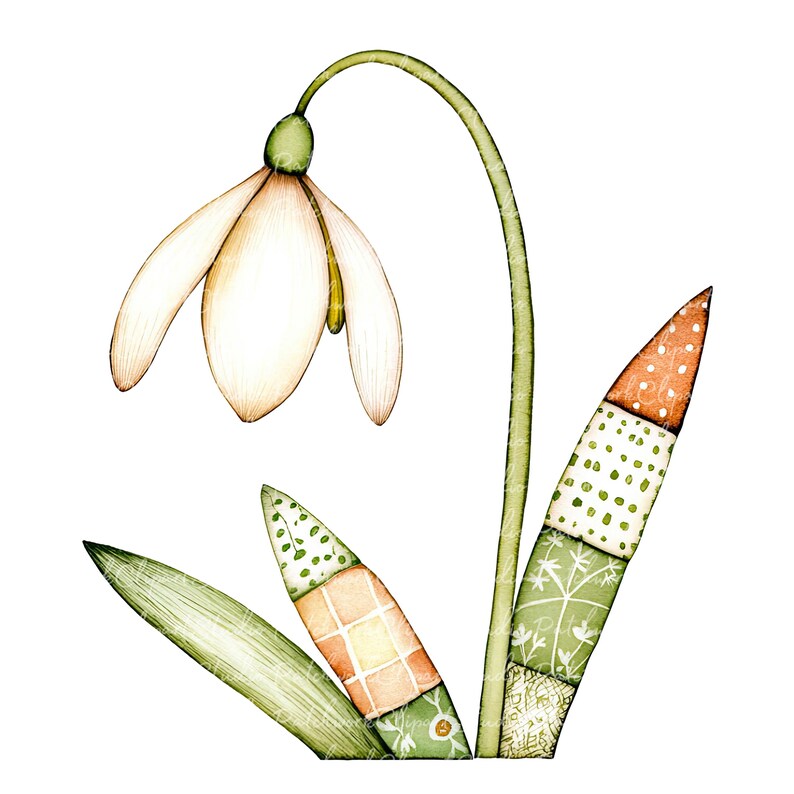 10 Snowdrop Flowers Clipart Bundle, PNG & JPG, Printable Patchwork, Illustrations, Digital ...