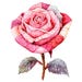 10 Pink Rose Clipart Bundle, PNG & JPG, Printable Patchwork Flowers ...
