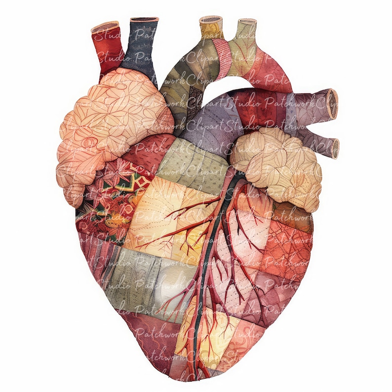 10 Human Heart Clipart Bundle, PNG & JPG, Printable Patchwork Anatomy ...