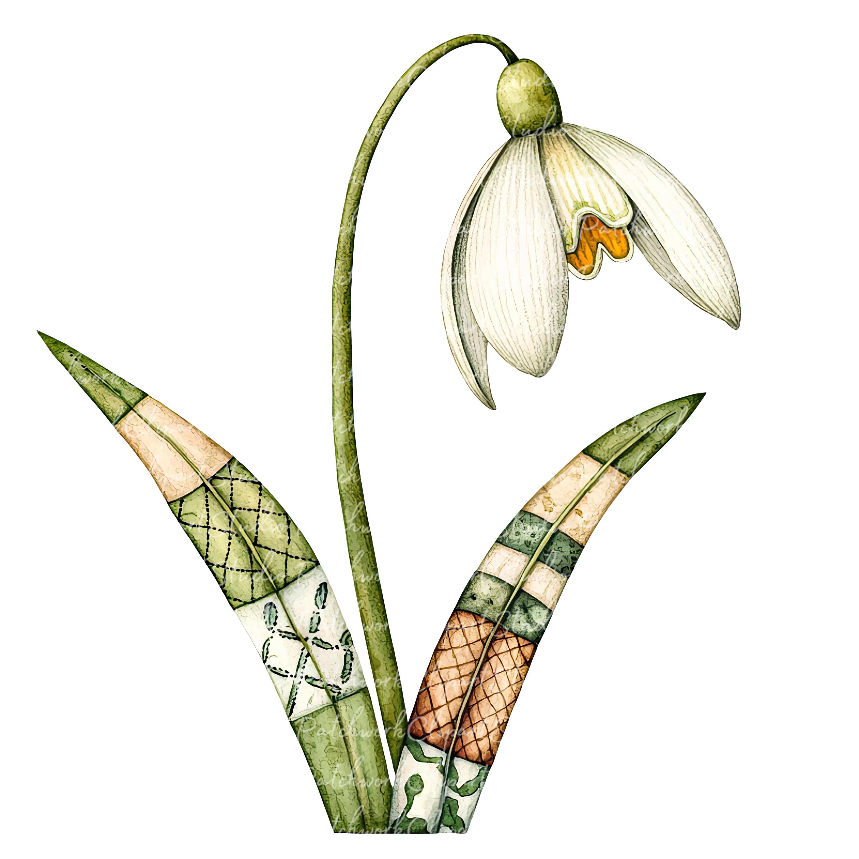 10 Snowdrop Flowers Clipart Bundle, PNG & JPG, Printable Patchwork, Illustrations, Digital ...