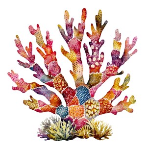 10 Coral Clipart Bundle, PNG & JPG, Printable Patchwork Corals ...