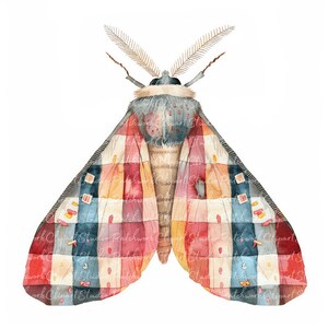 10 Moths Clipart Bundle, PNG & JPG, Printable Patchwork Moth ...