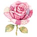 10 Pink Rose Clipart Bundle, PNG & JPG, Printable Patchwork Flowers ...