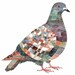 10 Pigeons Clipart Bundle, PNG & JPG, Printable Patchwork Pigeon ...
