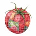 10 Tomato Clipart Bundle, PNG & JPG, Printable Patchwork Tomatoes ...