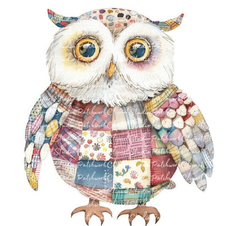 10 Snowy Owl Clipart Bundle, PNG & JPG, Printable Patchwork White Owl ...