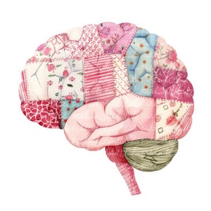 10 Brains Clipart Bundle, PNG & JPG, Printable Patchwork Brain ...
