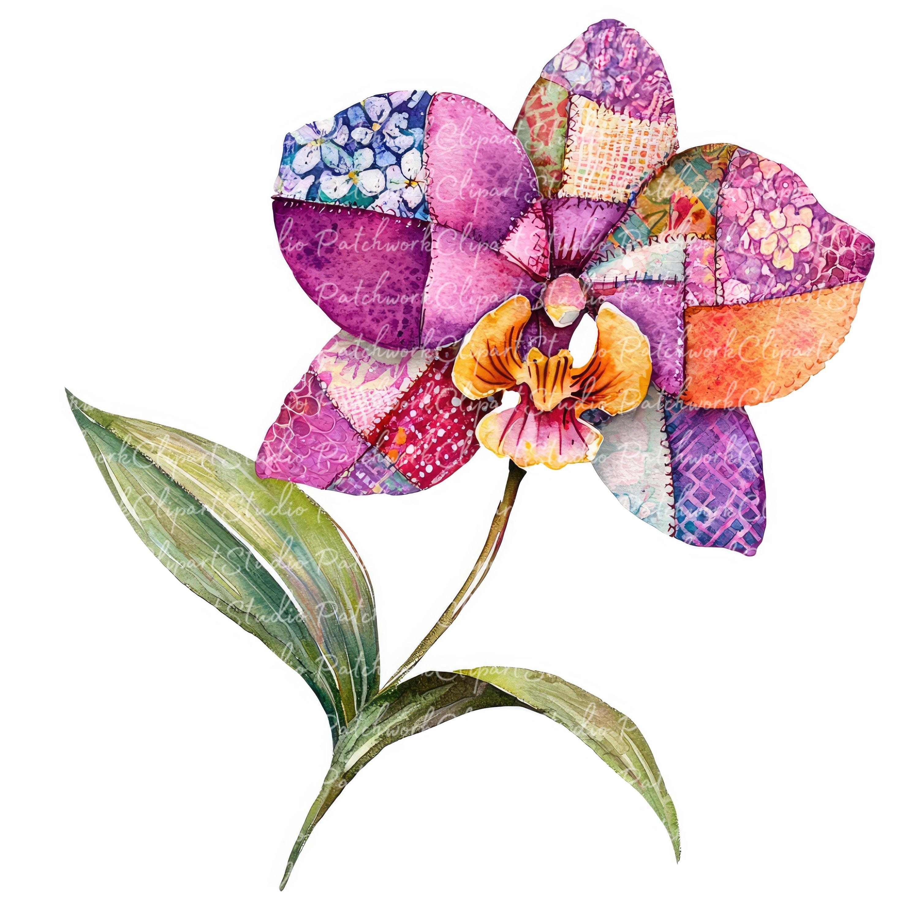 10 Orchid Clipart Bundle, PNG & JPG, Printable Patchwork, Illustrations, Digital Download ...