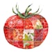 10 Tomato Clipart Bundle, PNG & JPG, Printable Patchwork Tomatoes ...