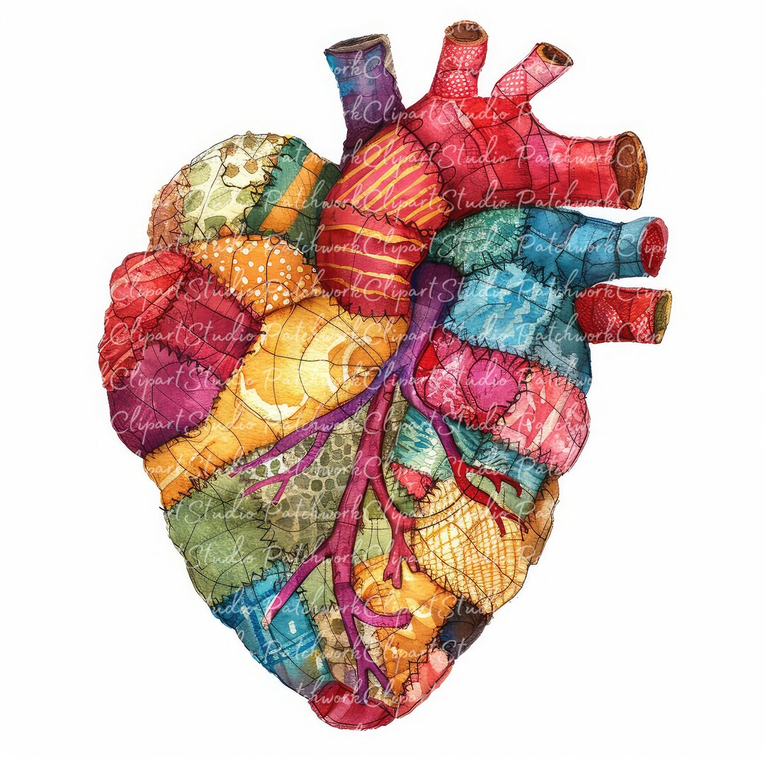 10 Human Heart Clipart Bundle, PNG & JPG, Printable Patchwork Anatomy ...