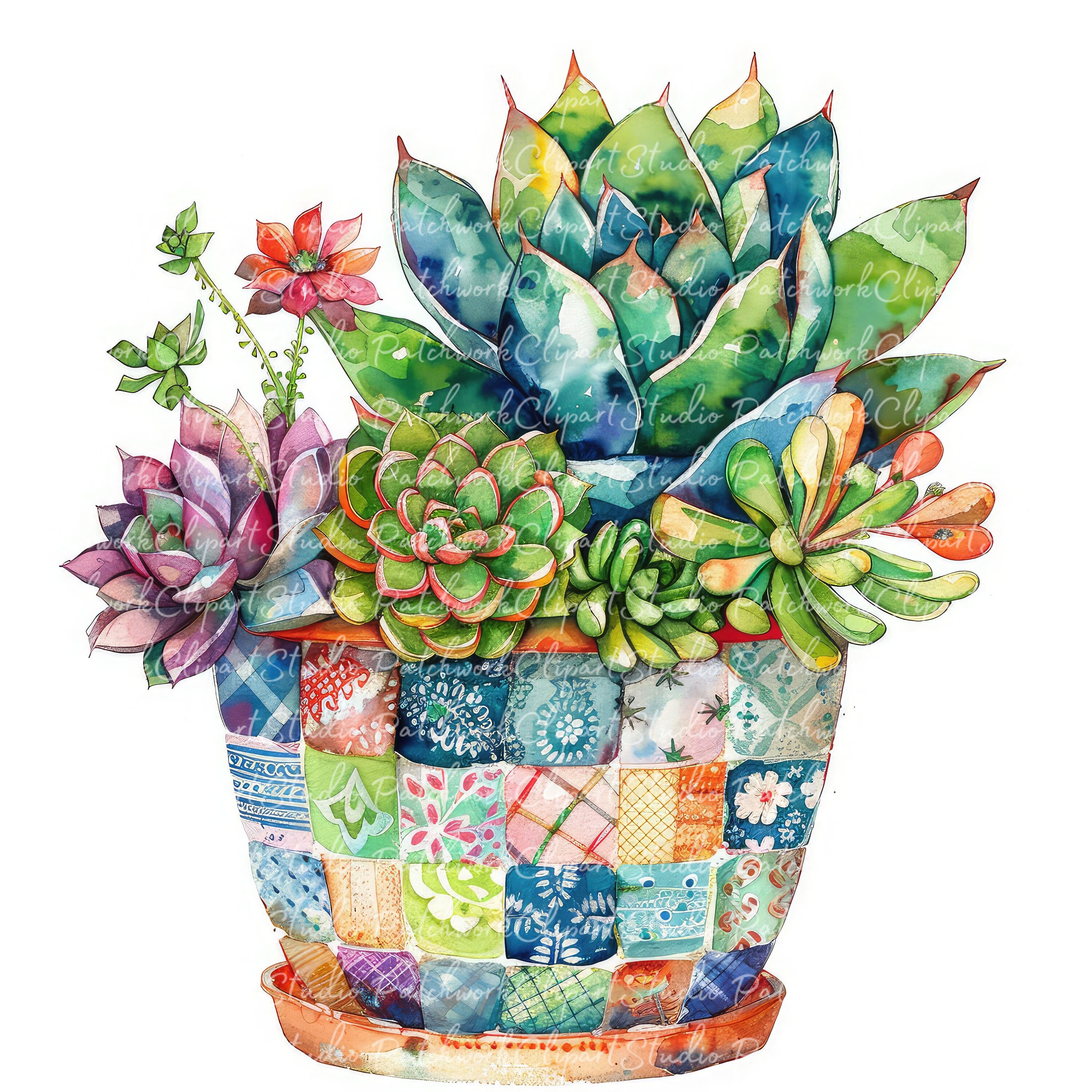 10 Succulents in Pot Clipart Bundle, PNG & JPG, Printable Patchwork ...