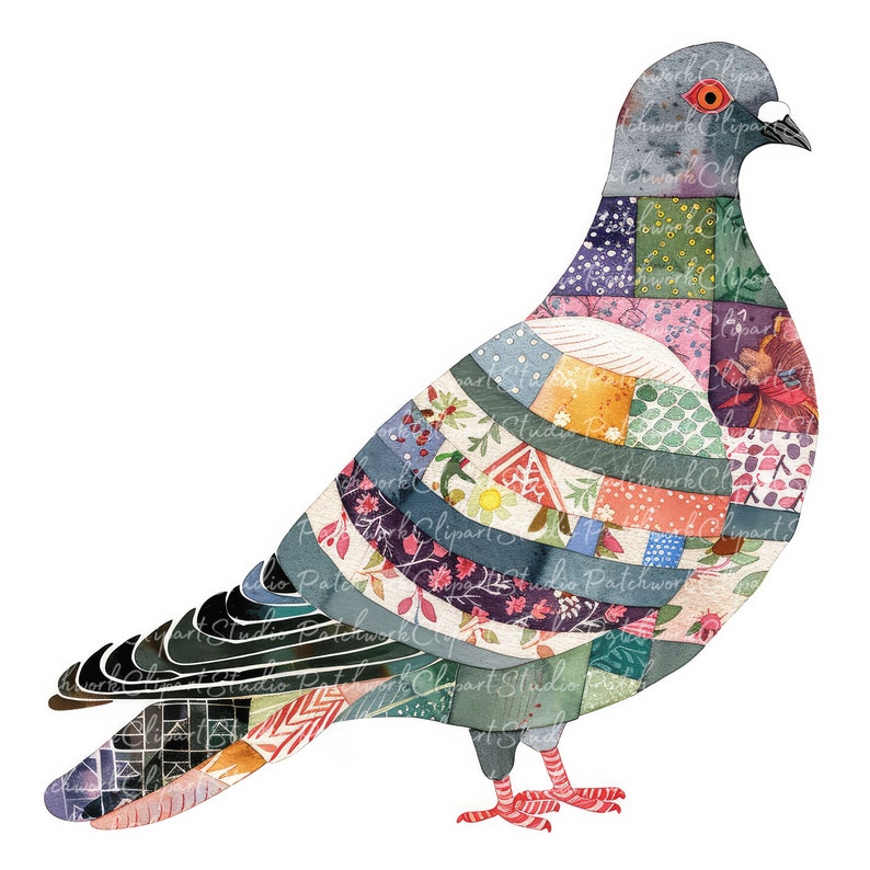 10 Pigeons Clipart Bundle, PNG & JPG, Printable Patchwork Pigeon ...