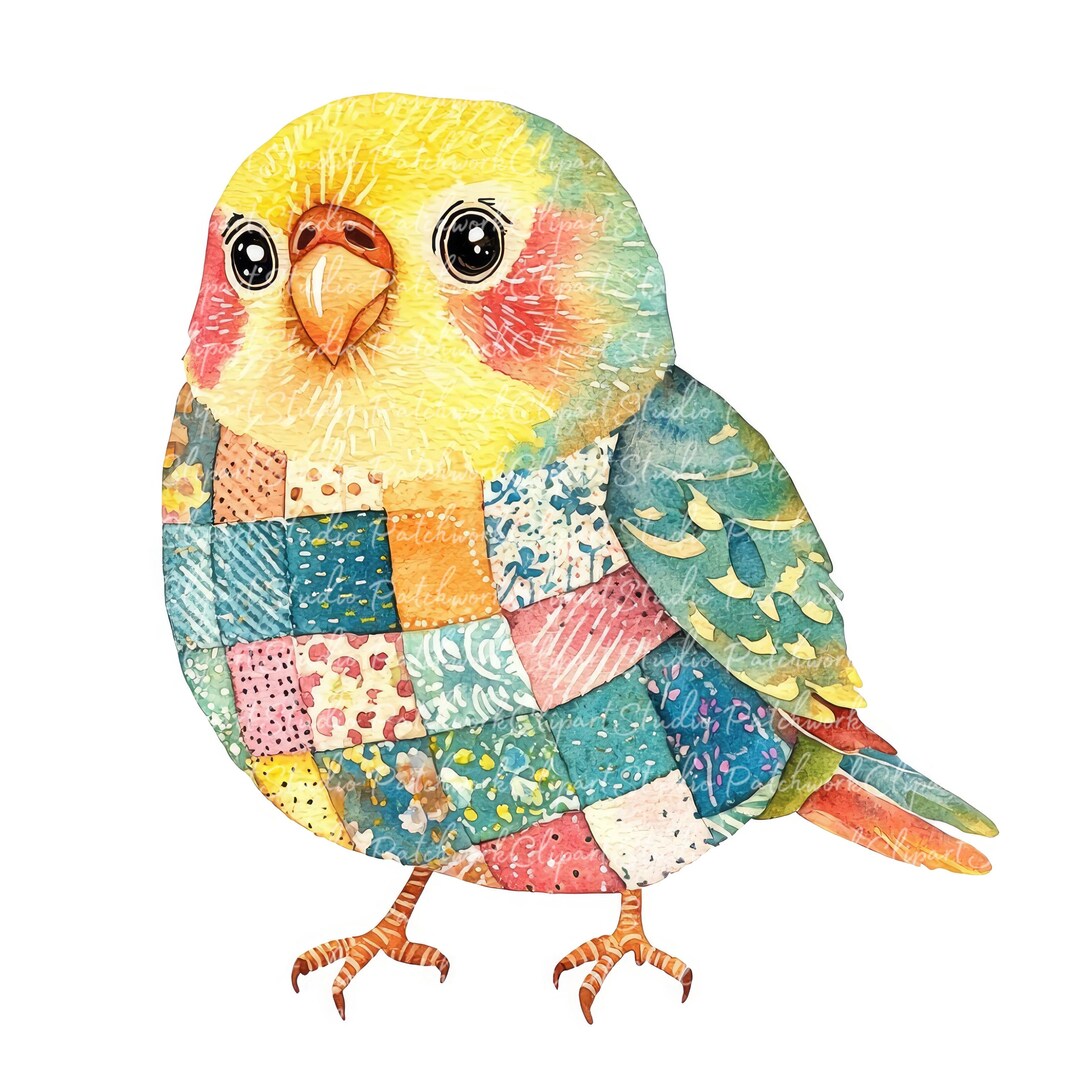 10 Budgie Clipart Bundle, PNG & JPG, Printable Patchwork Birds Illustrations, Digital Download ...