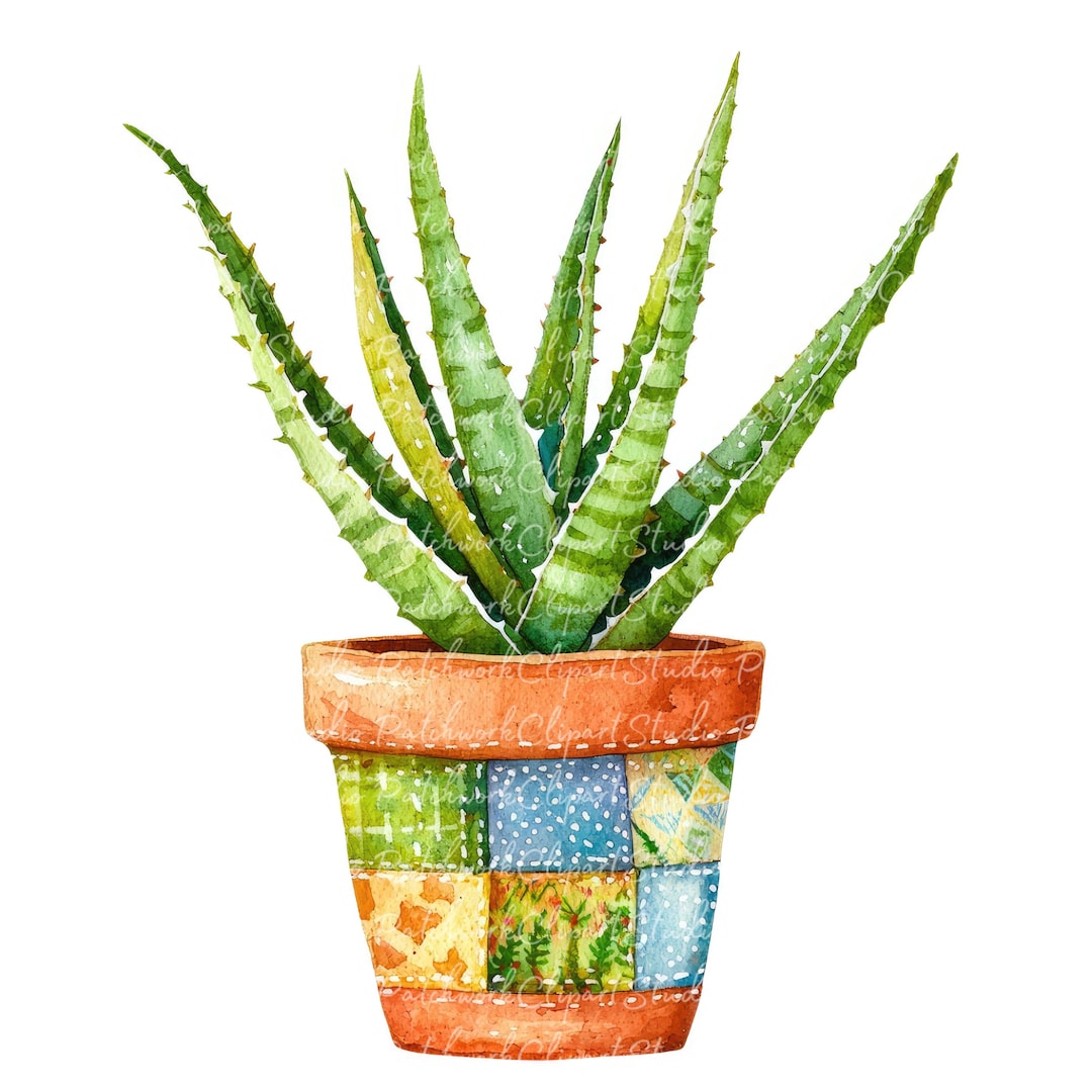 10 Aloe Vera Clipart Bundle, PNG & JPG, Printable Patchwork, Medicinal Plant Illustration ...
