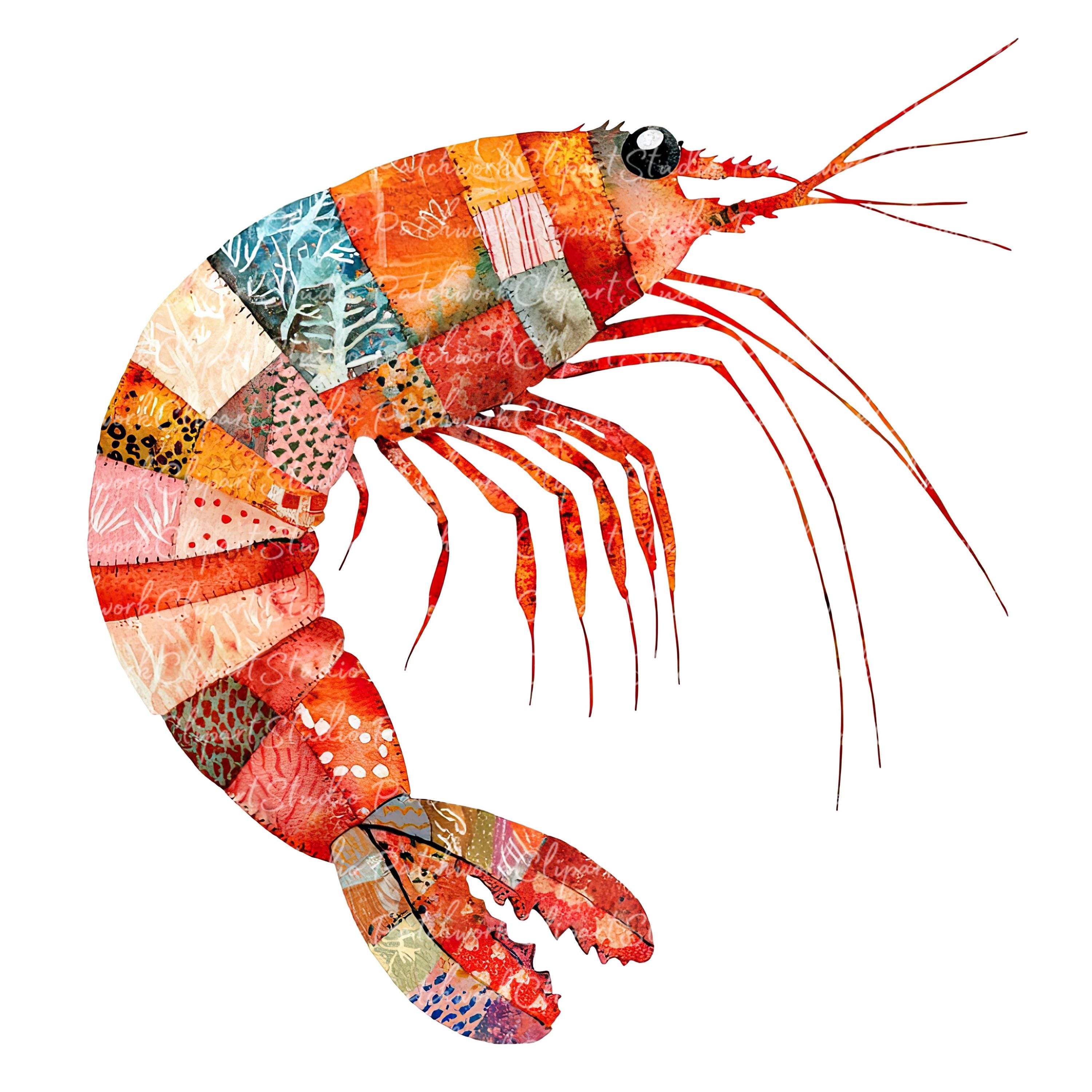 10 Shrimp Clipart Bundle, PNG & JPG, Printable Patchwork Shrimp ...