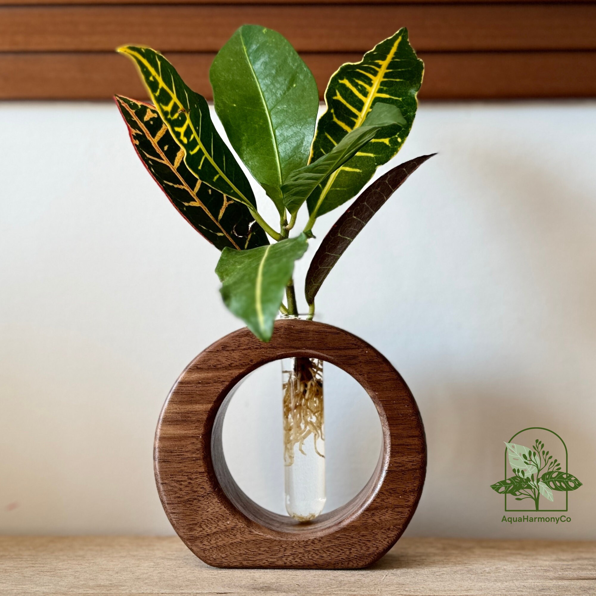 Glass Test Tube Planter for Home Decor, Wooden Hydroponic Vase, Plant ...