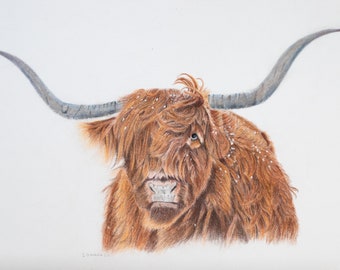 Highland Cow Art Print A4 Limited Edition Giclée Print - Etsy
