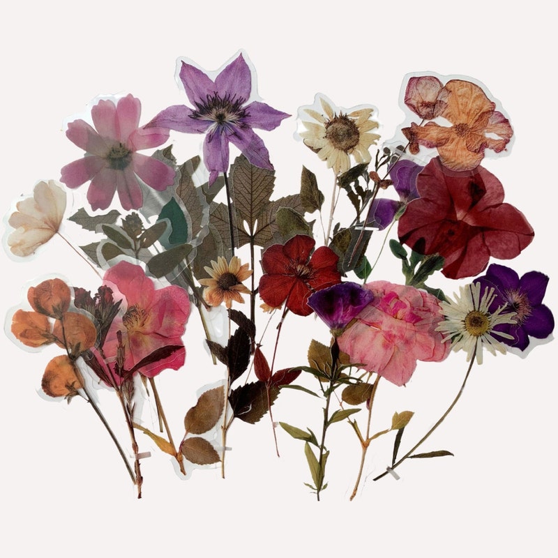 Nature Stickers - Etsy