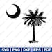 South Carolina State Flag Palmetto Tree & Moon | SC Flag Palm Tree ...