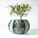 Erna Planter Pot: Indoor Planter Pot With Drainage Tray & Stand, Unique Modern 3D Printed for ...