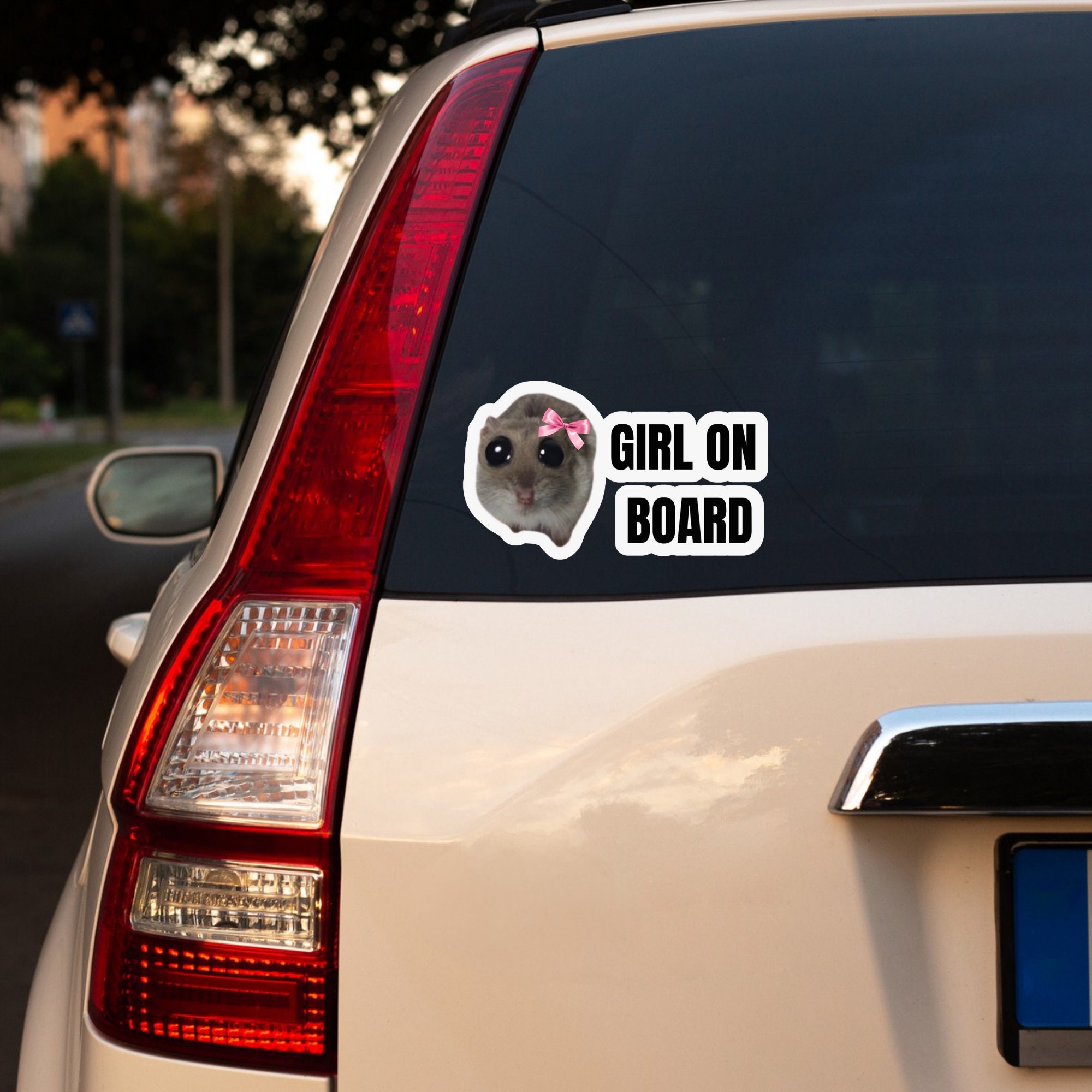 12 Funny Hamster Stickers Sad Hamster Meme Viral Sticker Trending ...