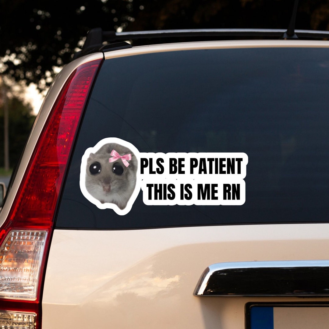 Funny Hamster Stickers Sad Hamster Meme Viral Sticker Trending Tiktok Big Eyes Digital Sticker ...