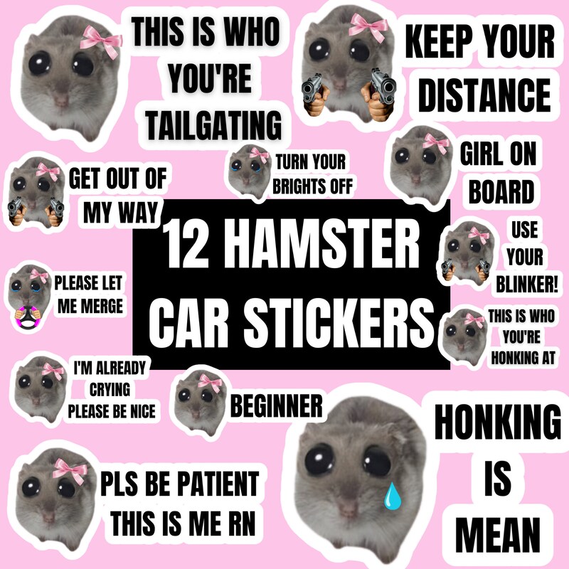 Car Bumper Sticker - Etsy