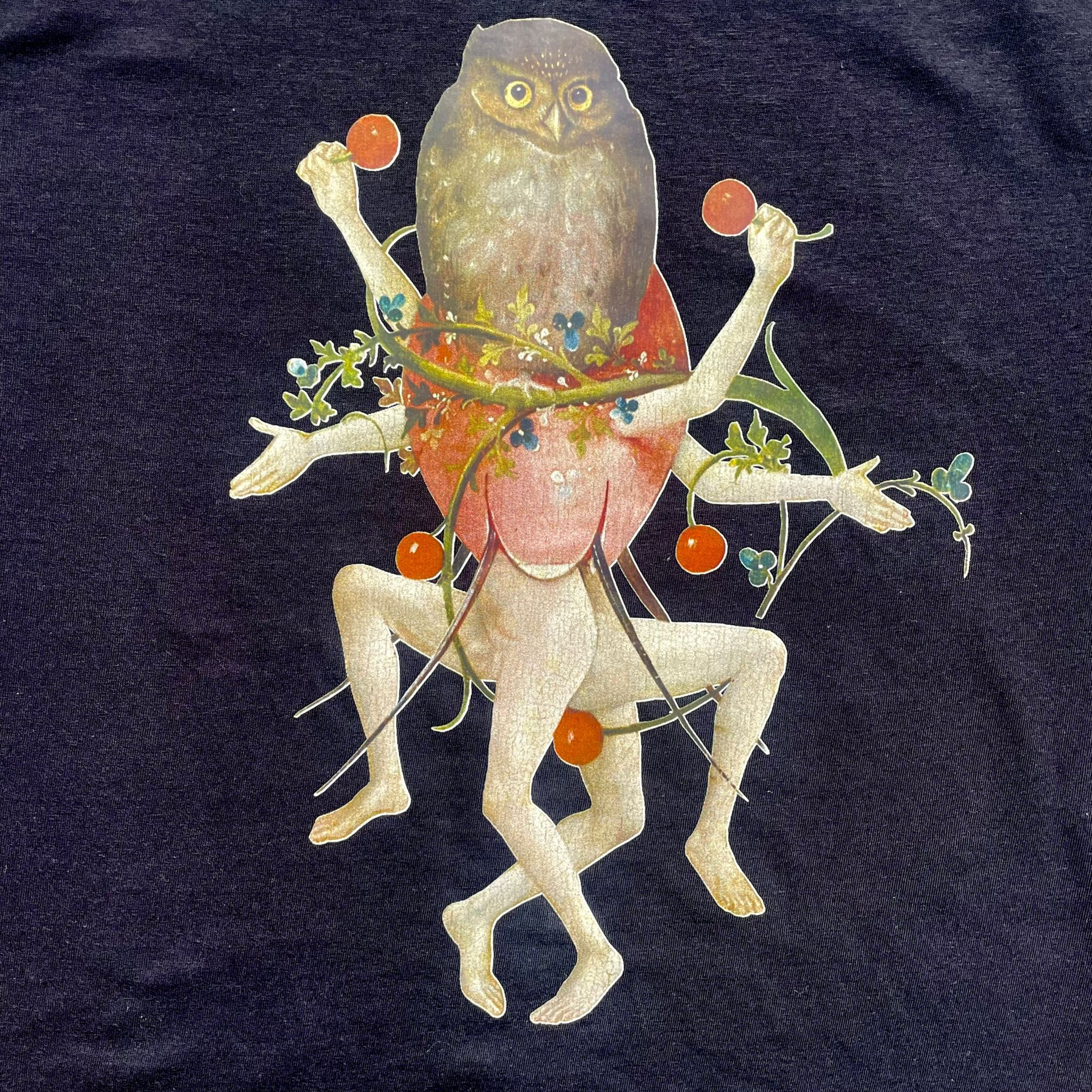 Hieronymus Bosch Garden of Earthly Delights Owl T-shirt - Etsy