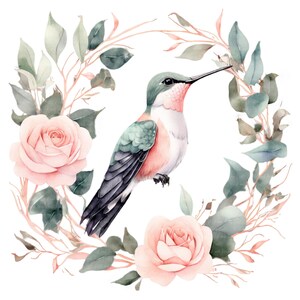 12 Watercolor Hummingbirds, PNG Clipart • Cottage Scrapbook Graphics ...