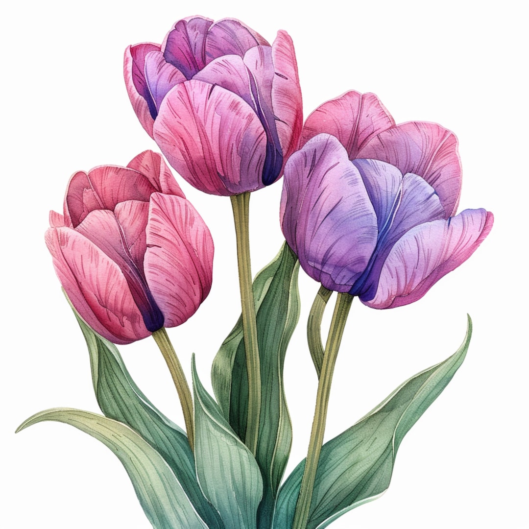 Watercolor Tulips Clipart Digital Art - Etsy