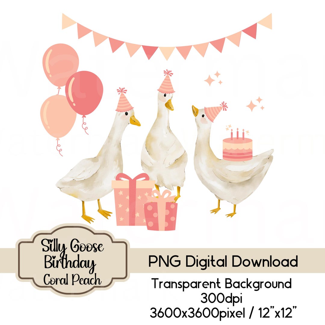 Silly Goose Birthday PNG, Digital Download Sublimation Design, Coral ...