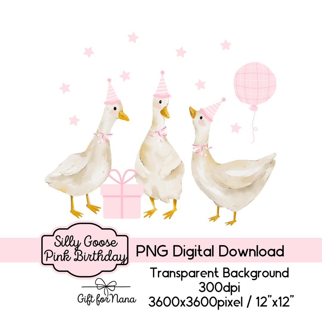Silly Goose Birthday PNG: Pastel Pink Party Design (digital Download ...