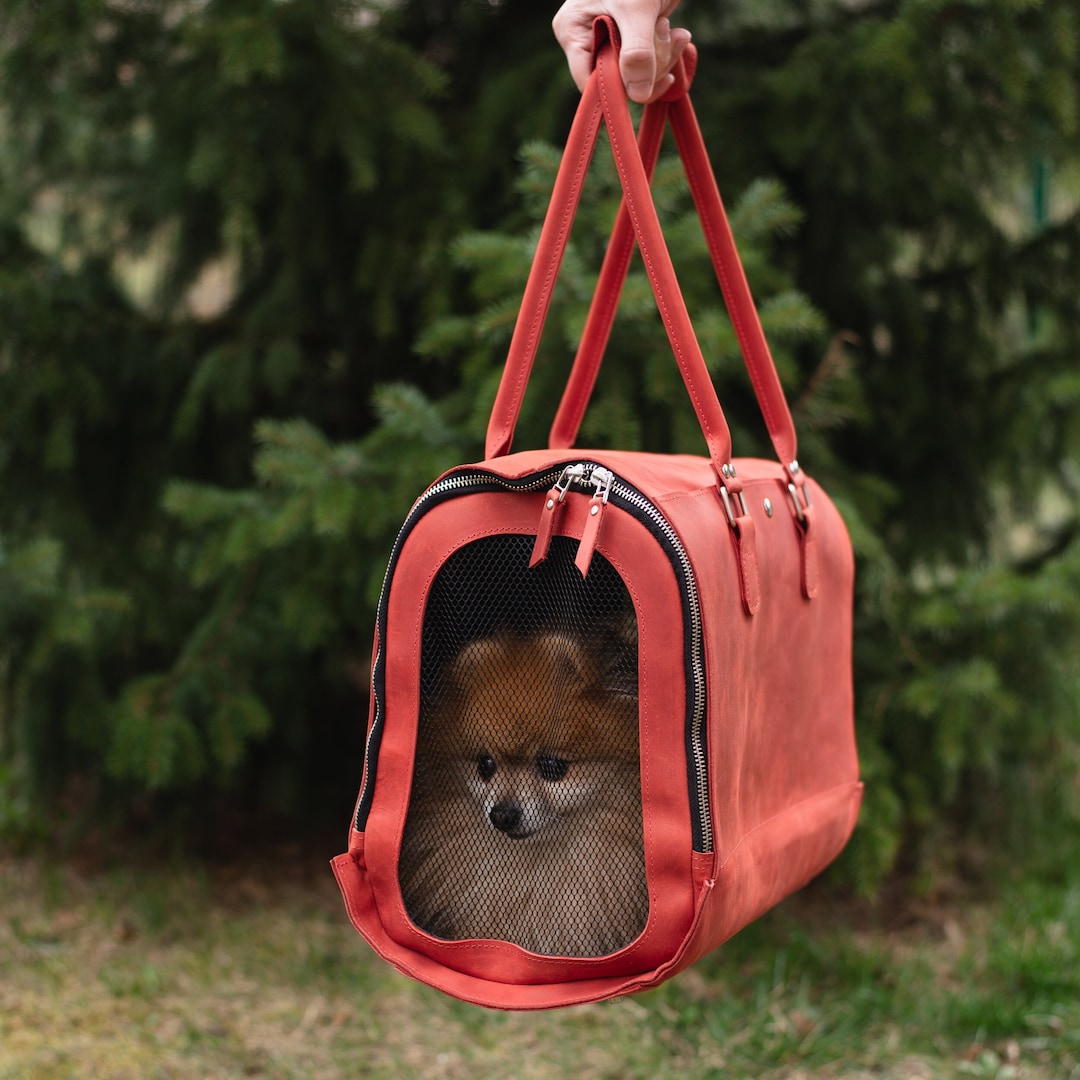 Custom Dog Carrier, Dog Tote Bag, Leather Dog Carrier, Dog Travel Bag ...