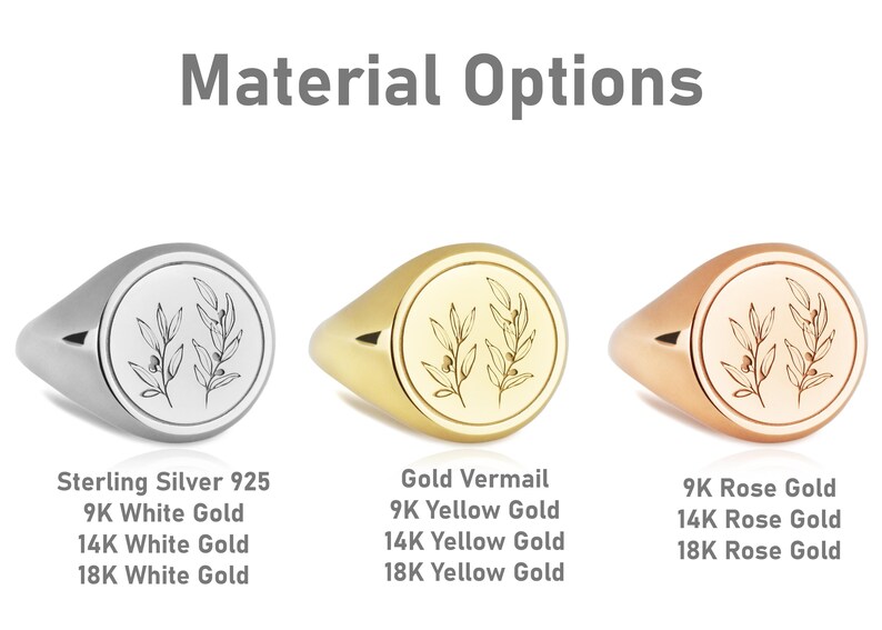 14K Gold Olive Branch Signet Ring, Olive Leaf Jewelry, Botanical Gold ...