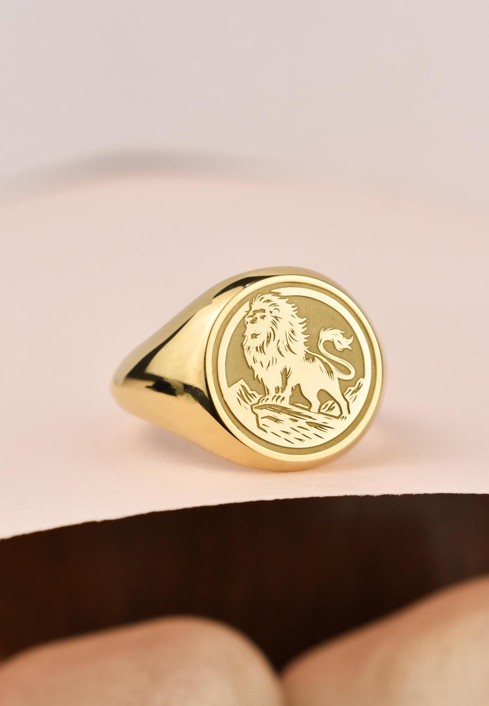14K Gold Lion Signet Ring, King of Lion Ring, Lion Head Jewelry, Leo Zodiac Sign Ring, King of ...