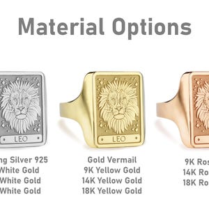 14K Solid Gold Leo Zodiac Sign Tarot Card Signet Ring for Men & Women ...